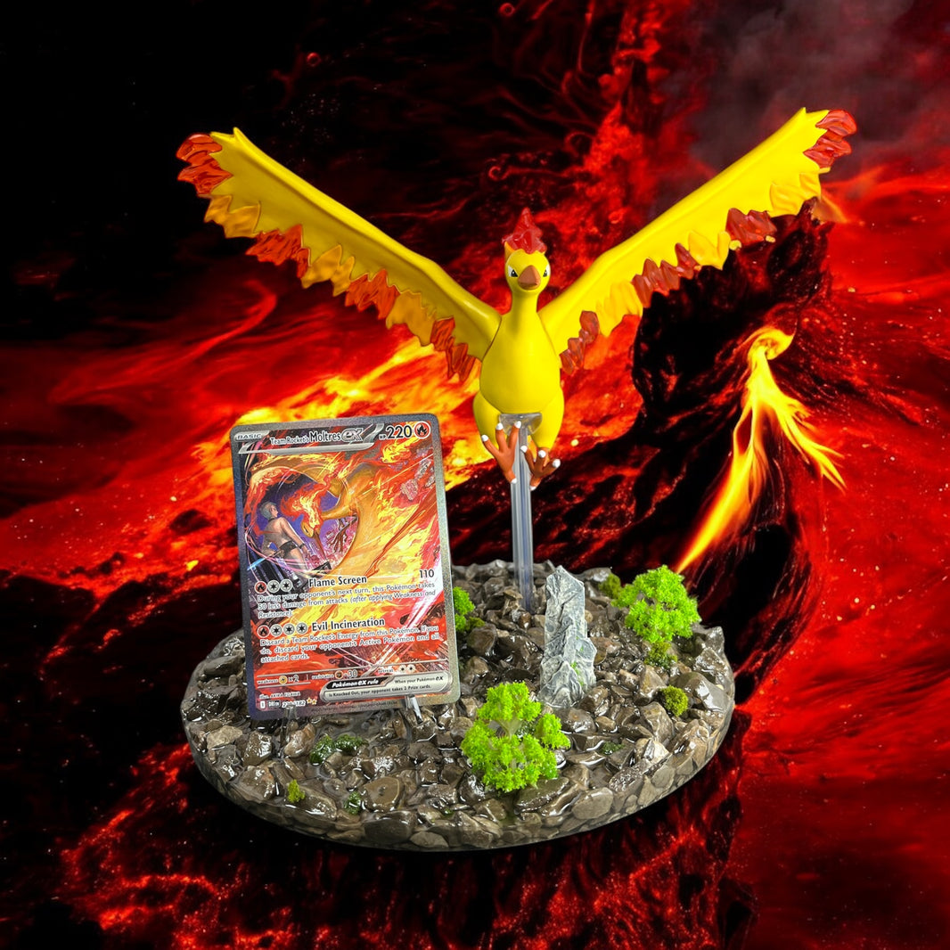 Evolve your TCG collection with custom displays and gifts! – DK Cards